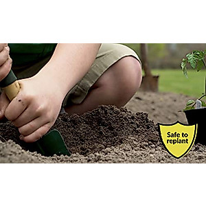 Ragan And Massey 75322 Herbicide, 16-ounce, white