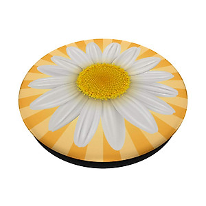 Cute White Flower Daisy With Yellow Sun Ray Background