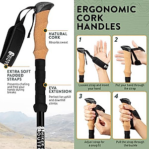 Hiker Hunger Aluminum Hiking Poles Collapsible Lightweight, Walking Sticks for Hiking, Trekking Poles for Hiking, Walking Sticks for Seniors, Hiking Stick & Walking Poles - Black