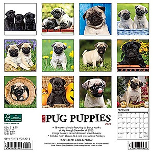 Just Pug Puppies 2021 Wall Calendar (Dog Breed Calendar)