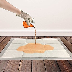 OUT! Odor Control Extra Large Dog Pads | Absorbent Pet Training and Puppy Pads | 60 Pads | 26 x 24 Inches