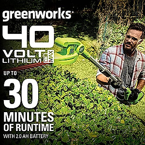 Greenworks 40V 20" Cordless Pole Hedge Trimmer, 2.0Ah Battery and Charger Included
