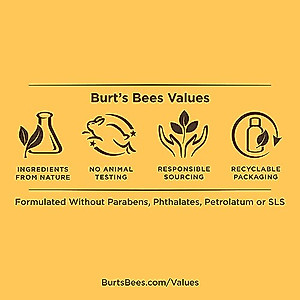 Burt's Bees Mama Bee Belly Butter, Fragrance Free Lotion, 6.5 Ounce Tub