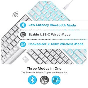 RK ROYAL KLUDGE RK61 Wireless 60% Triple Mode BT5.0/2.4G/USB-C Mechanical Keyboard, 61 Keys Wireless Mechanical Keyboard, Compact Gaming Keyboard with Software (Hot Swappable Red Switch, White)