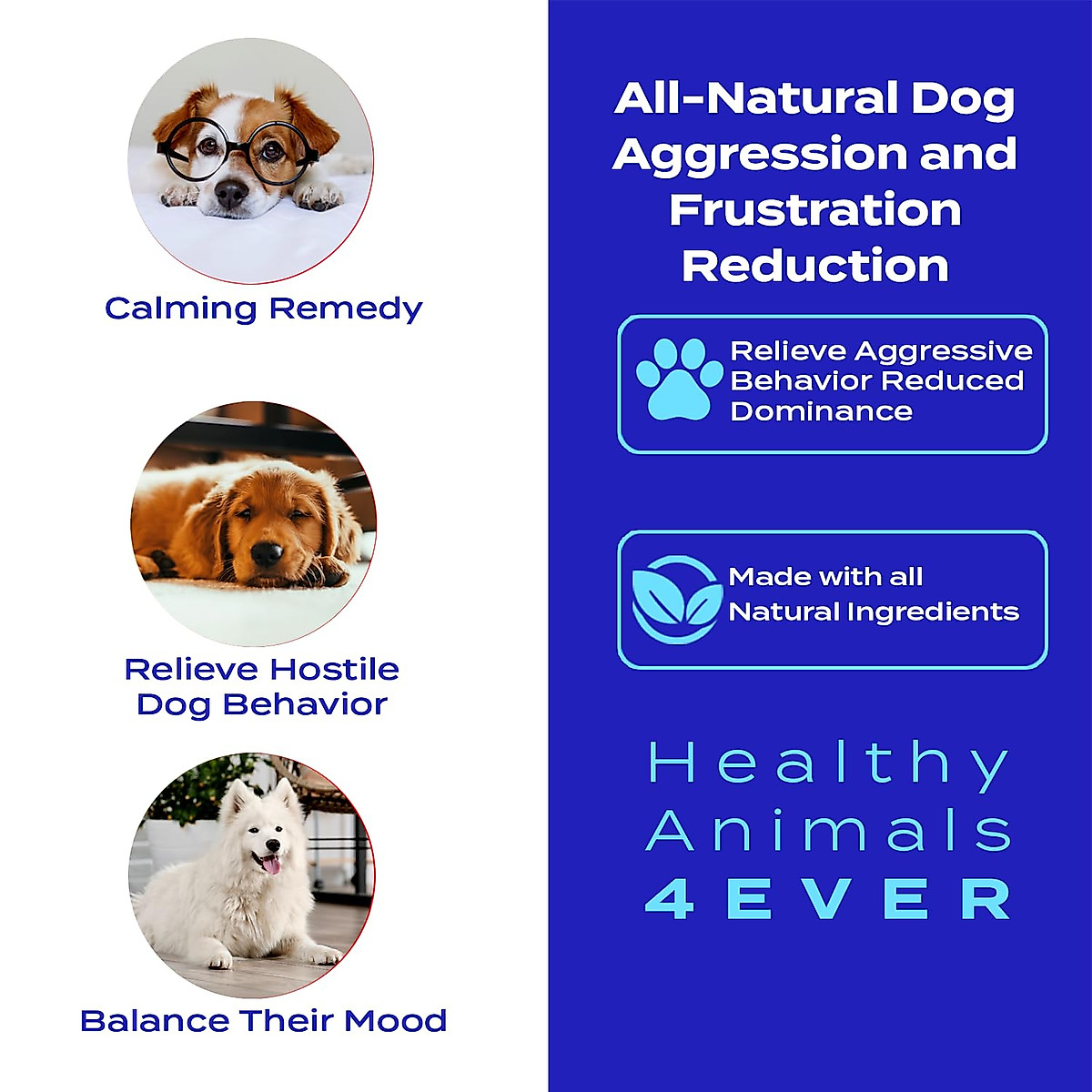 Healthy Animals 4Ever All-Natural Dog Calming Tablets for Stress and Aggressive Behavior - Help Reduce Dog Aggression/Frustration & Promote Relaxation - Homeopathic & Highly Effective - 300 Tablets
