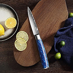 SUDUN Professional Paring Knife 3.5 inch Small Kitchen Knife Ultra Sharp German Stainless Steel 7Cr17Mov Fruit and Vegetable Cutting Chopping Knives - Full Tang Ergonomic Handle