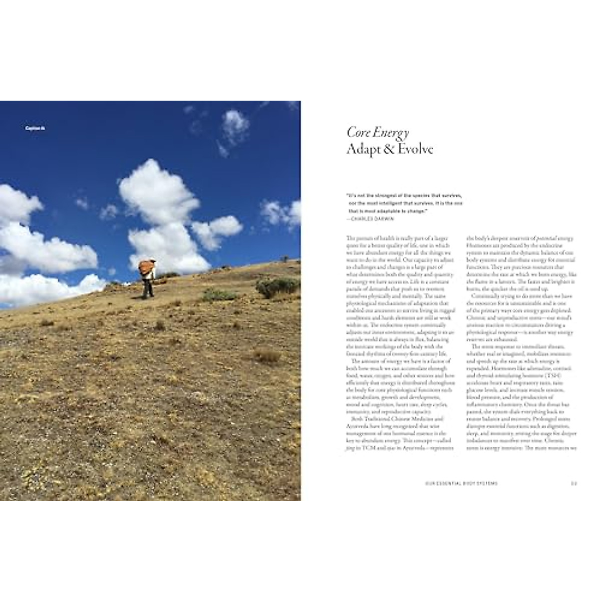 The Plant Medicine Protocol: Unlocking the Power of Plants for Optimal Health and Longevity