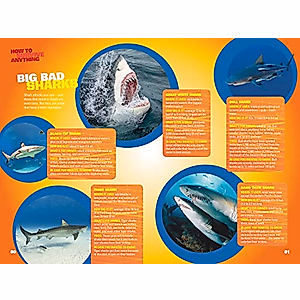 How to Survive Anything: Shark Attack, Lightning, Embarrassing Parents, Pop Quizzes, and Other Perilous Situations (National Geographic Kids)