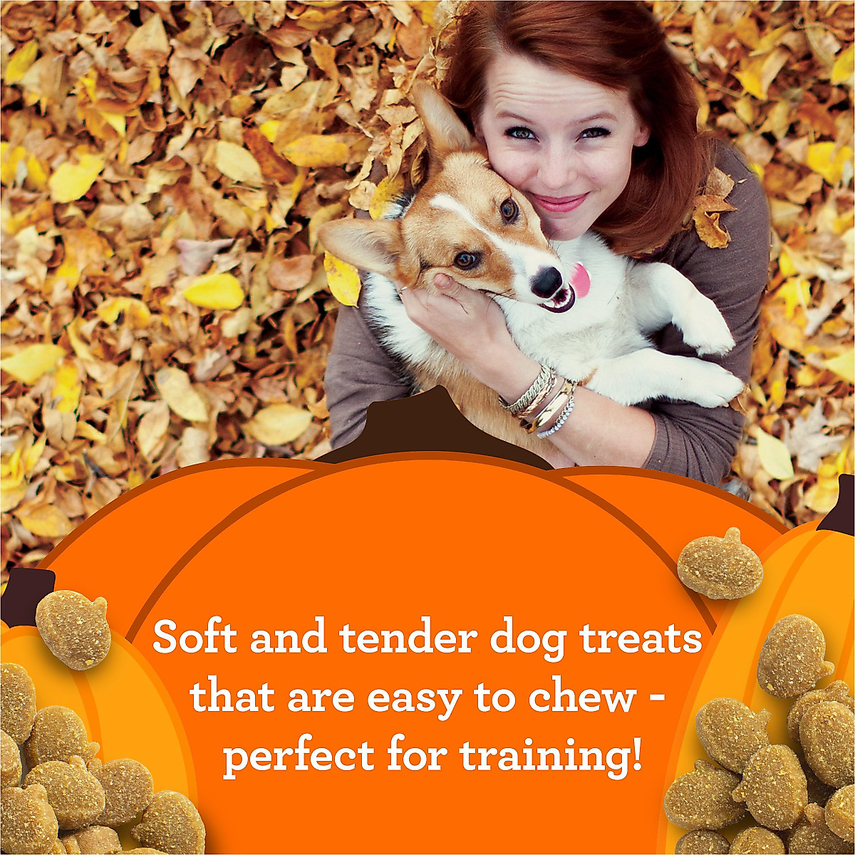 Zukes Mini Naturals Dog Training Treats for Dogs, Pet Treats Made with Real Turkey and Pumpkin, 5 oz. Resealable Pouch - 5 oz. Bag