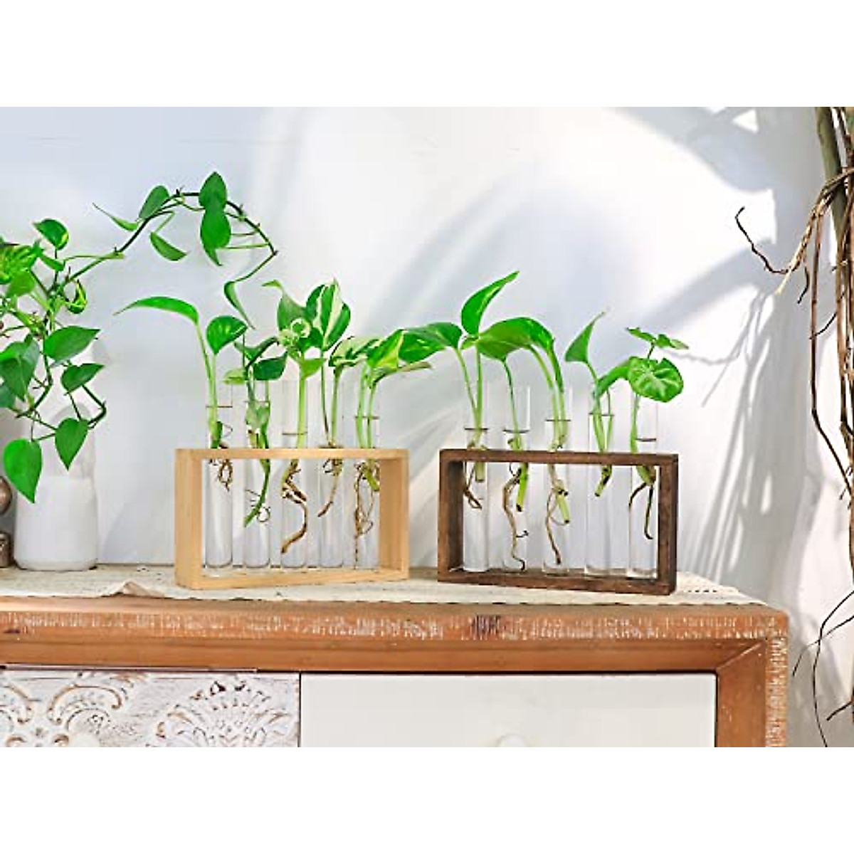 Ivolador Wall Mounted Hanging Plants Terrarium Test Tube Flower Bud Tabletop Glass Wooden Stand with 5 Test Tube Perfect for Propagating Hydroponic Plants Home Garden Wedding Decoration