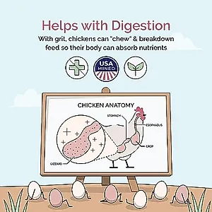 Mile Four | Chicken Grit | Sized for Layers & Growers | 8-20+ Weeks | Natural Crushed Mineral Grit Quartzite from Sandstone | Digestion Aid for Poultry | US Mined | 4 lbs.