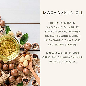 Pierre'S Apothecary Macadamia Oil Hydrating Shampoo for Dry Hair, Renewing Damage Repair, Moisturizing, All Hair Types, 33.8 oz