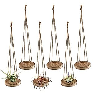 6 Pcs Hanging Wooden Air Plant Holder - 3" Round Wooden Air Plant Hanger with Jute Ropes, Rustic Air Plant Stand Tillandsia Succulent Display Container for Home Office Decor (Plants Not Included)