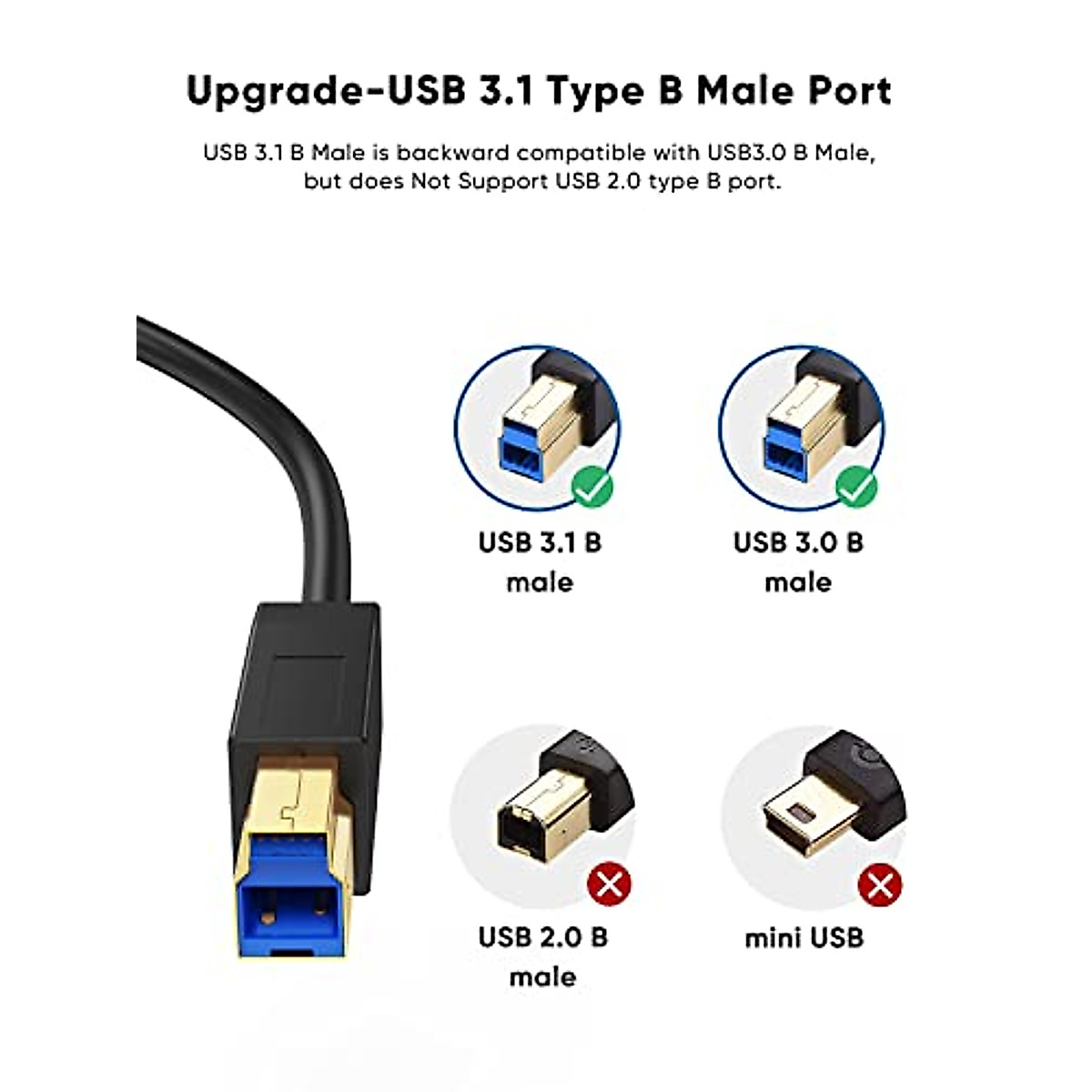 CableCreation USB 3.1 USB C to USB B Cable 4 FT Bundle USB 3.1 C to Micro B Hard Drive Cable 2FT