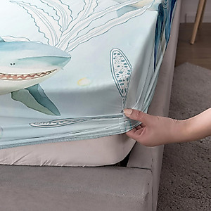 AILONEN Shark Fitted Sheet Set Twin Size, Ocean Shark Bed Sheet Set for Boys Kids,Blue Starfish Shark Fitted Sheet with 2 Pillowcases,3 Pieces Bed Sheet Set