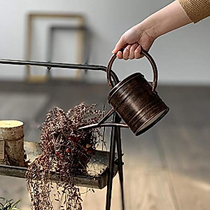 Time Concept Classical Metal Watering Can - 1.2L, Tinplate - Brush Black Copper