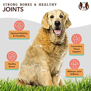 Natural Dog Company 32 oz. Bundle with Wild Alaskan Salmon Oil and Liquid Glucosamine for Dogs, Fish Oil Supplement, Joint and Hip Support