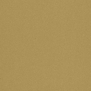 12 oz Krylon K02770007 Gold Fusion All-In-One Paint & Primer Spray Paint, Metallic