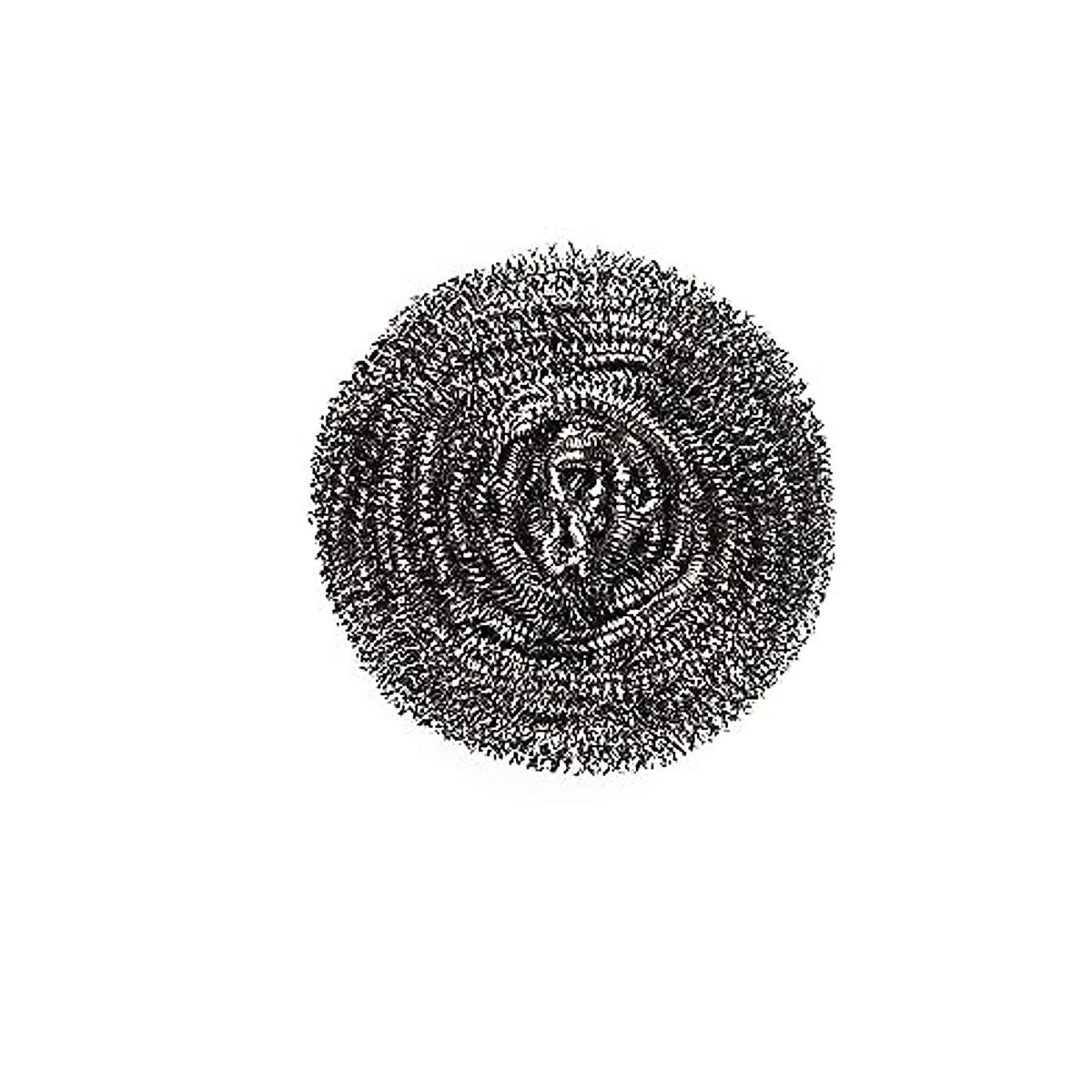 12 Pcs Stainless Steel Wool Scrubber, Steel Wool Soap Pads, Steel Wool Scrubber forKitchens, Bathroom Cleaning Dishes Pans Pots Ovens Grills