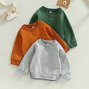 Gueuusu Toddler Kids Baby Boy Girl Crewneck Sweatshirt Cotton Long Sleeve Solid Color Pullover Top Casual Spring Fall Clothes (Light Gray , 6-12 Months )