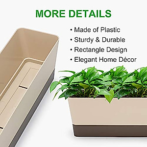 GROWNEER 3 Packs 12 Inches Window Boxes Rectangle Planter with 15 Pcs Plant Labels, Plastic Flower Pots Plant Containers with Saucer for Windowsill Garden Balcony Home Office Indoor Outdoor (Beige)