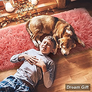 Rtizon 2 PCS Faux Fur Washable Rug, 2 x 5.9 Feet and 2 x 4 Feet Coral Fluffy Sheepskin Rug for Girls Bedroom Livingroom Floor Cushion Home Decor Bedside Carpet, Furry Chair Cover Seat Pad Mat