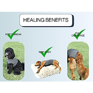 Dog Recovery Suit After Surgery - for Spay Neuter - with Washable Pads - Dog Onesie (Grey Medium)