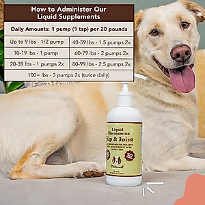 Natural Dog Company Liquid Glucosamine Hip & Joint Oil for Dogs (16 oz) Extra Strength Cartilage and Joint Support , Helps Mobility and Eases Occasional Stiffness, Dog Supplement for All Breeds and Ages, Senior Dog Supplements, Dog Vitamins and Supplement
