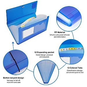 HYUNLAI Expanding File Folders 4 Pack, 10.4' 5.5' Receipt Organizer File Folder with 12 Pocket for Receipts,Coupons,Checks,Tickets-Water Resis…