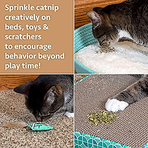 Kitty City Premium Natural Catnip