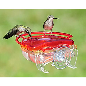 Aspects ASPECTS437 The Gem Window Hummingbird Feeder