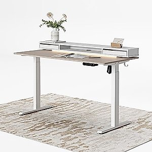 FEZIBO 48 × 26 Inch Electric Standing Desk with Monitor Stand, Height Adjustable Table with LED Strips, Ergonomic Home Office Furniture with 2 Drawers Storage Gaming Workstation, Light Walnut Top