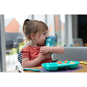 Tommee Tippee Insulated Sippee Toddler Tumbler Cup, 12+ Months – Girl, 2pk