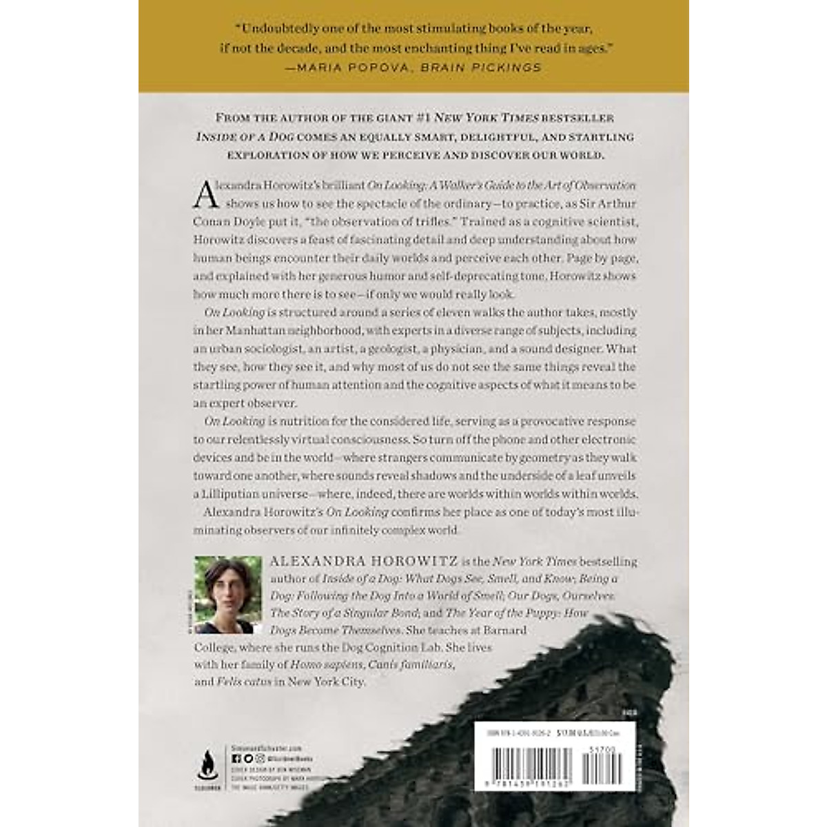 On Looking: A Walker's Guide to the Art of Observation