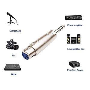 AYECEHI XLR Female to 1/4 TRS Male Stereo Adapter, 2 Pack, Metal Shielded, Positive Locking