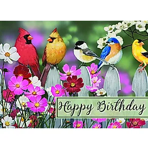 Crown Point Graphics Shared Blessings Birthday Birds 12 Boxed Birthday Cards, Beautiful Birds with KJV Scripture, Art by William Vanderdasson
