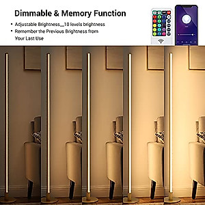 EDISHINE Modern LED Corner Floor Lamp with Smart App & Remote Control, Minimalist Dimmable Light Compatible with Alexa, Google Home, 57.5" Tall Lamp for Living Room, Bedroom (Gold)