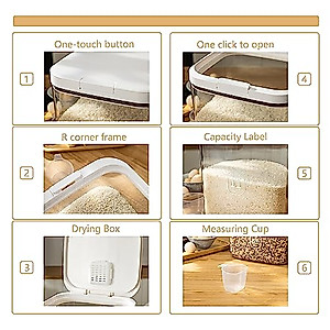 LivLab Flour Container 20LBS - 10 L /10.5 QT /10 KG - Rice Container Storage Food Grain Container Bins Household for Kitchen Pantry Organization (11L)