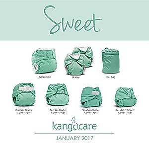 Kanga Care Lil Joey Cloth Diaper (2pk) Sweet