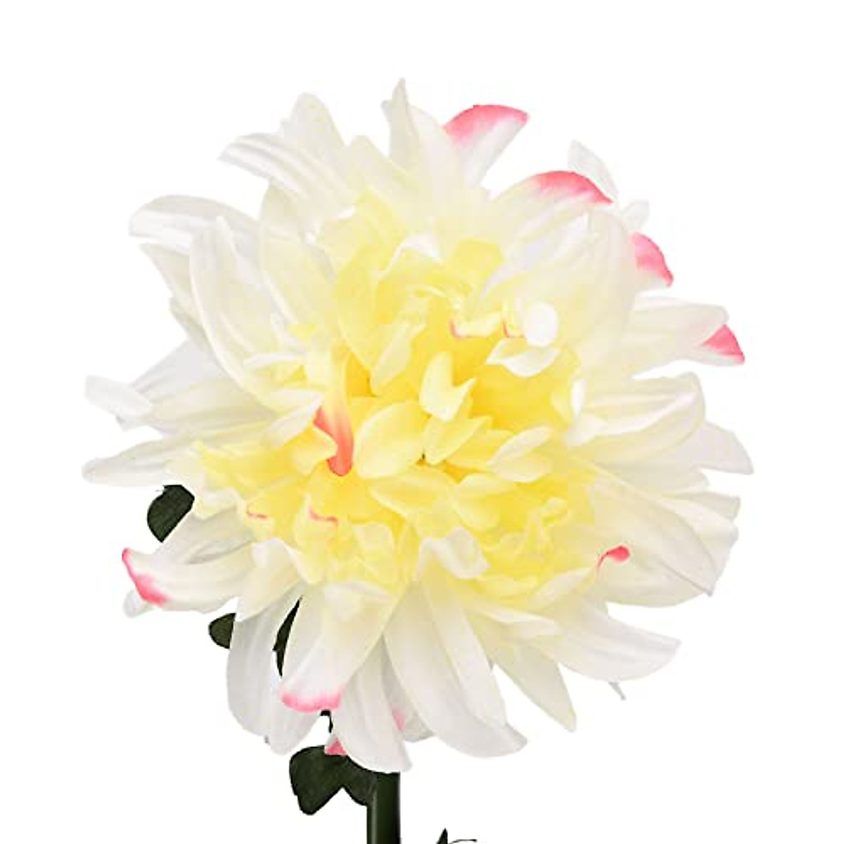 MIWEITOO Solar Flowers Lights Outdoor Decorative, Chrysanthemum Design Landscape Path Lights, Waterproof LED Solar Garden Stake Lights for Patio, Garden, Yard, Lawn, Pathway(White)