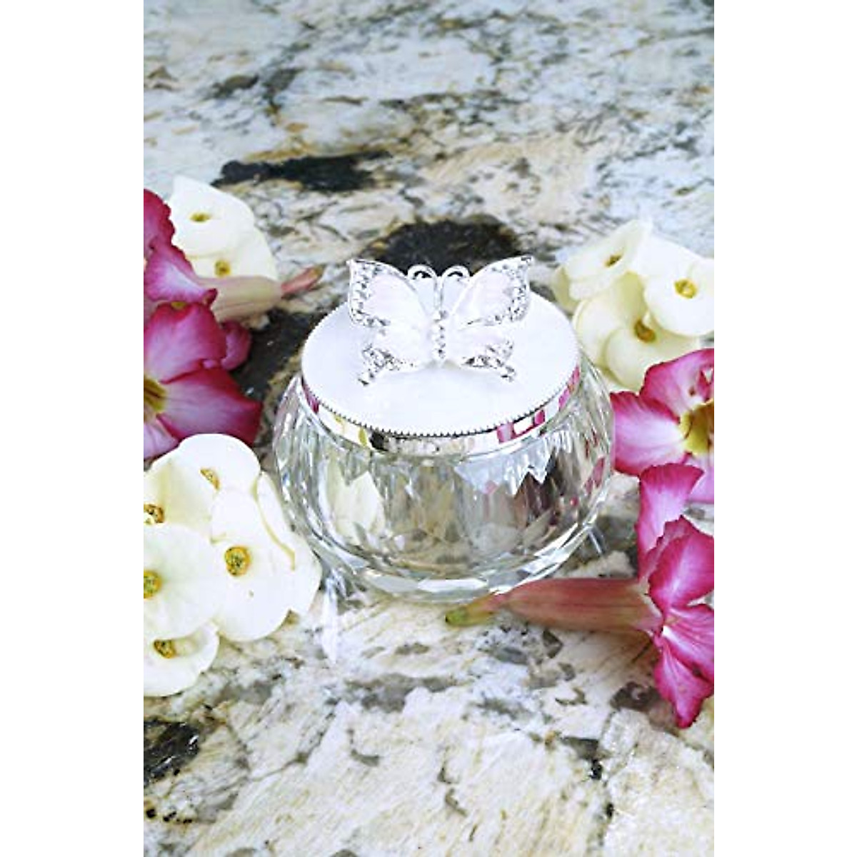 VI N VI White Pink Butterfly Jewelry Box Trinket Box Petite | Hand Painted Decorative Jewelry Display, Holder, and Organizer