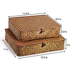 Elsjoy 2 Pack Seagrass Baskets with Lid, Wicker Storage Baskets Flat Rattan Storage Bins, Woven Organizer Baskets for Shelf, Closet, Bedroom