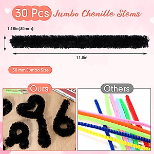 Hotop 30 Pcs Extra Thick Pipe Cleaners 30mm Jumbo Pipe Cleaners Craft Supplies Chenille Stems Pipe Cleaners for Beginners Christmas DIY Art Supplies Decorations(Black)