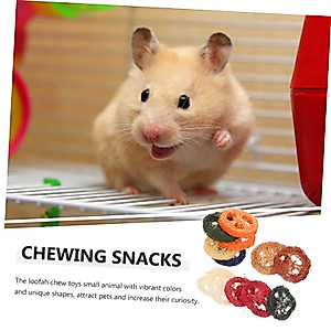 iplusmile 48 Pcs Loofah Chew Toys Hamster Chew Toys Hamster Toy Bunny Teeth Toys Rabbit Chew Toys Bunny Dental Loofah Chews for Small Animals Rat Chew Toys Rat Toys Supplies Guinea Pig