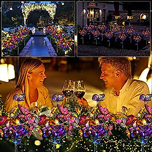 IGRARK Solar Lights Outdoor Garden Butterfly Lights Decorative Solar Stake Lights with Butterflies 2 Pack Decor Powered Waterproof for Garden Yard Pathway