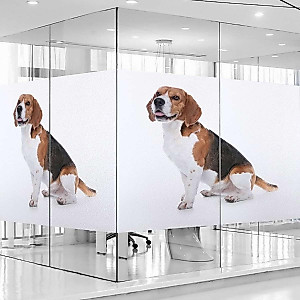 Cinnamon White Window Privacy Film Frosted Glass Window Film Stained Glass Window Film Window Cling Privacy Film UV Blocking Beagle Dog Posing Frosted Glass Film 27.6Wx47.2L-inch x2 Pcs