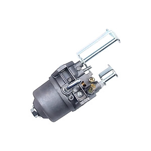 Goodbest New Carburetor Spark Plug Kit Compatible with Toro Power Clear Snow Blower 418ZE 418ZR 621E 38587 38272 38282 38452 Replace 119-1570 119-1928 119-1977