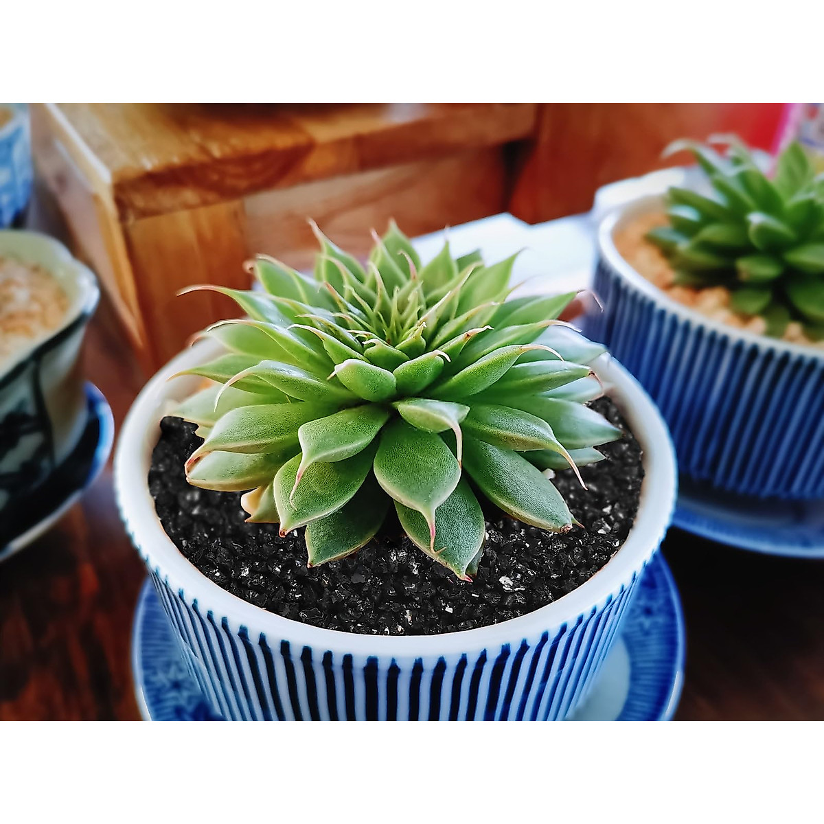 Boniosz 5lb Succulents and Cactus Black Sand, Décor & Additive Tiny Stones,DIY Rocks Gravel for Bonsai, Fairy Gardening, Terrarium, Vases Fillers