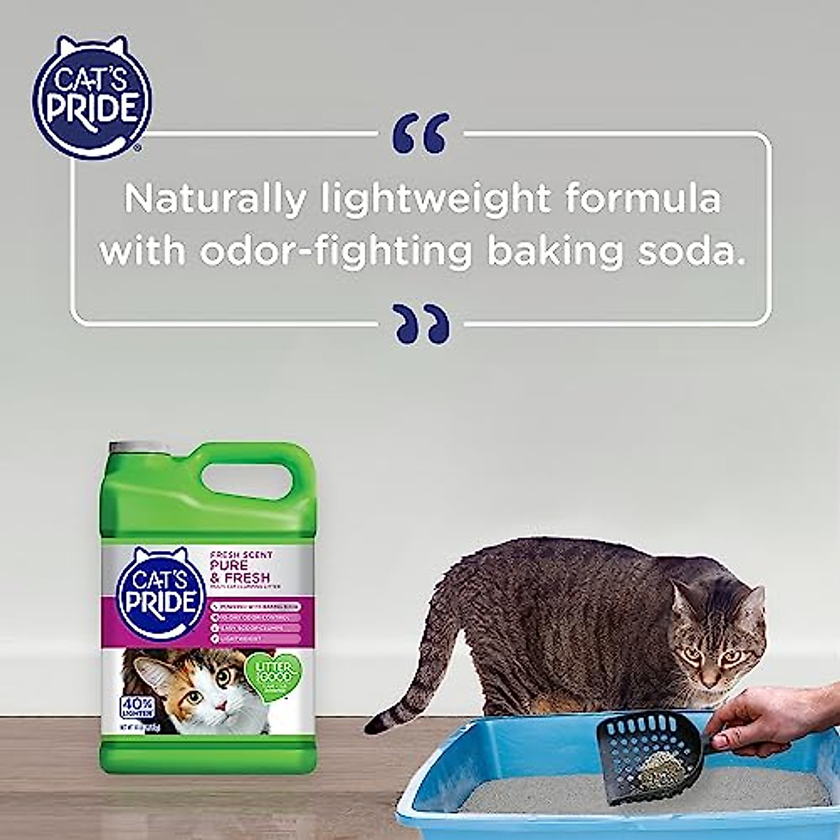 Cat's Pride Premium Lightweight Clumping Litter: Pure & Fresh - Up to 10 Days of Powerful Odor Control - Multi-Cat, Scented, 10 Pounds