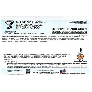 Ian and Valeri co. Amber Sterling Silver Sun Earrings